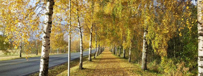 Verdal – En god kommune å bo i!